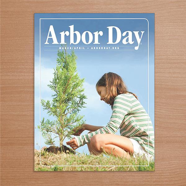 Donate to support tree planting – Arbor Day Foundation
