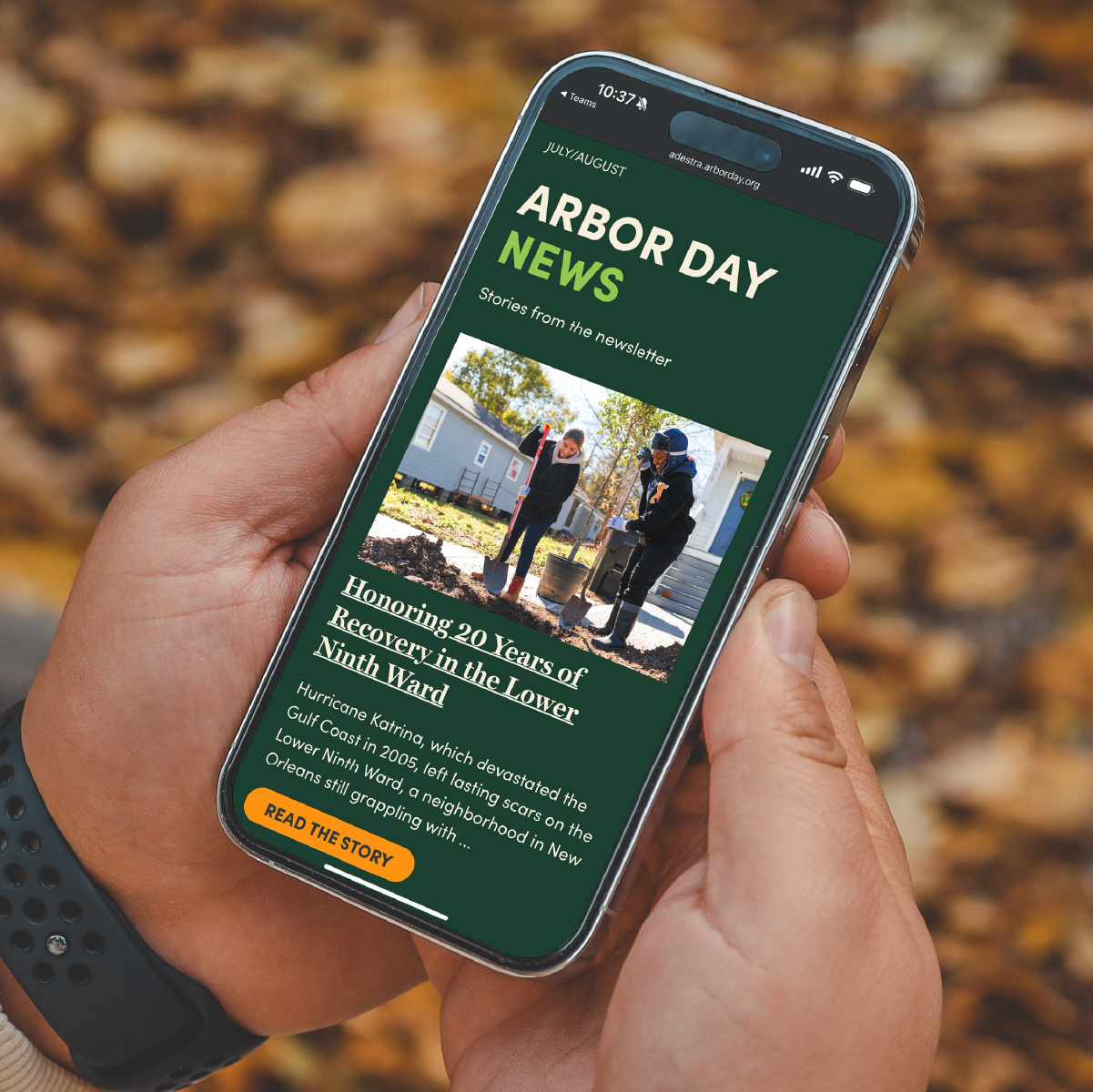 Tree Survey | Tell us what you think about trees – Arbor Day Foundation